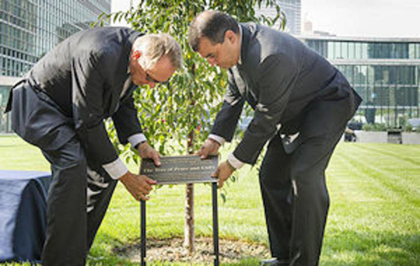 IPU President marks WWII anniversary at UN tree ceremony | Inter ...