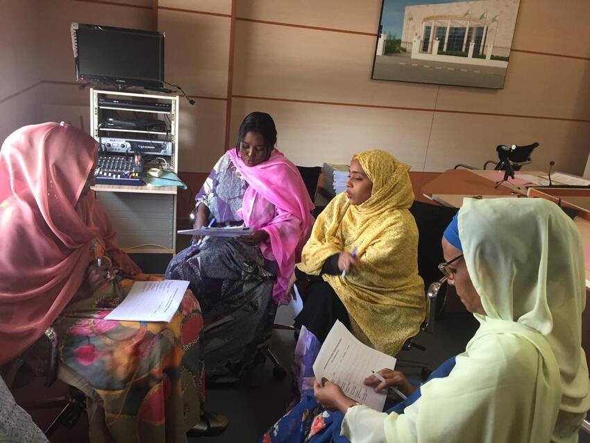 How do parliaments follow up on IPU resolutions and initiatives ...