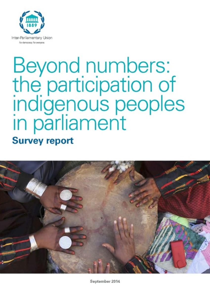 Beyond numbers: the participation of indigenous peoples in parliament ...