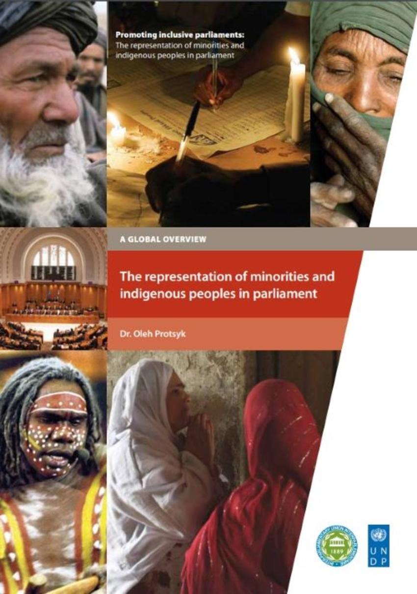 The representation of minorities and indigenous peoples in parliament ...