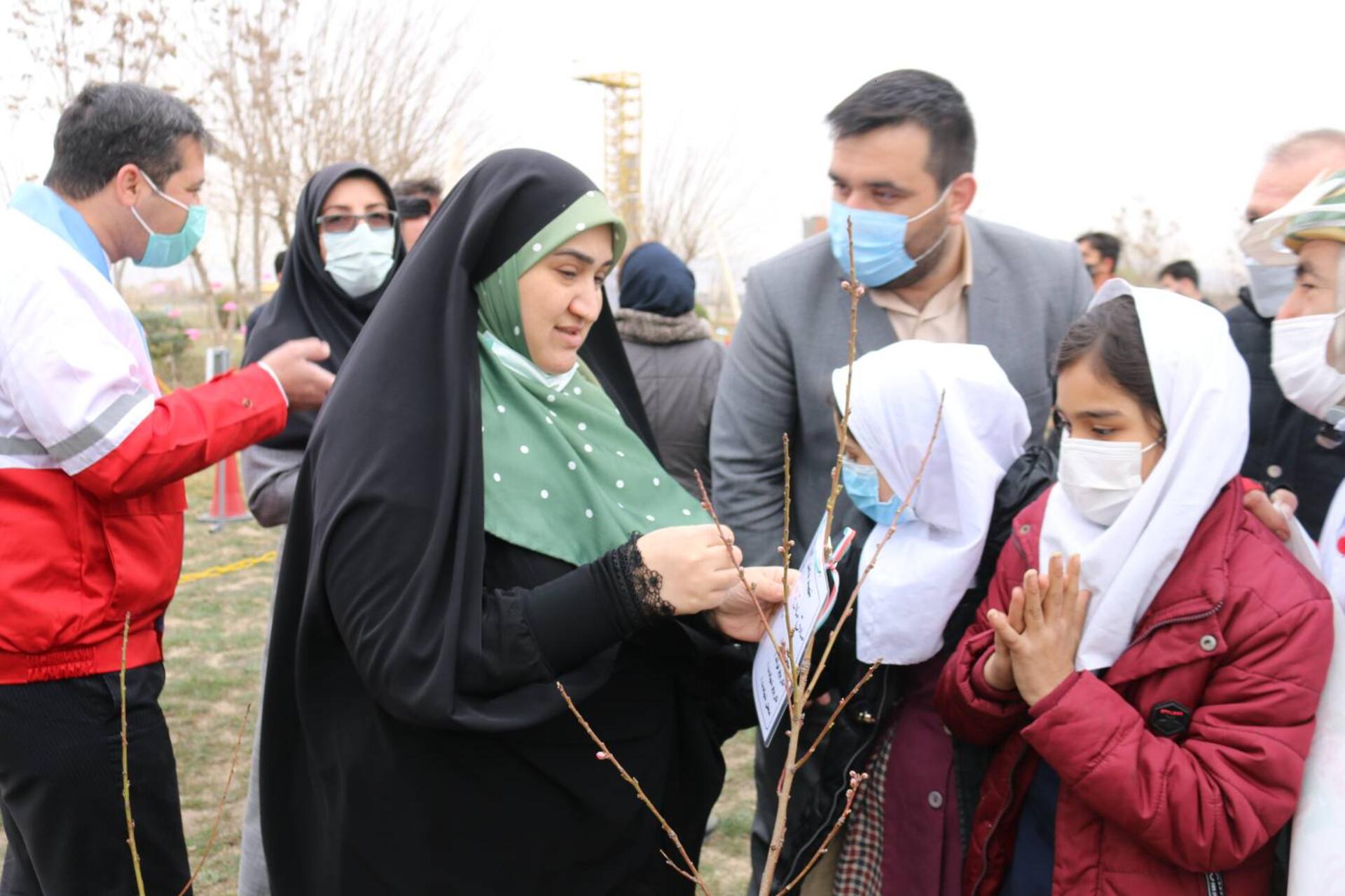 Interview with Dr. Somayeh Rafiei, Chair of the Environmental Committee ...