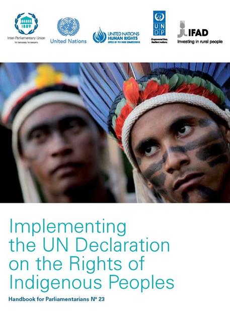 Implementing the UN Declaration on the Rights of Indigenous Peoples ...